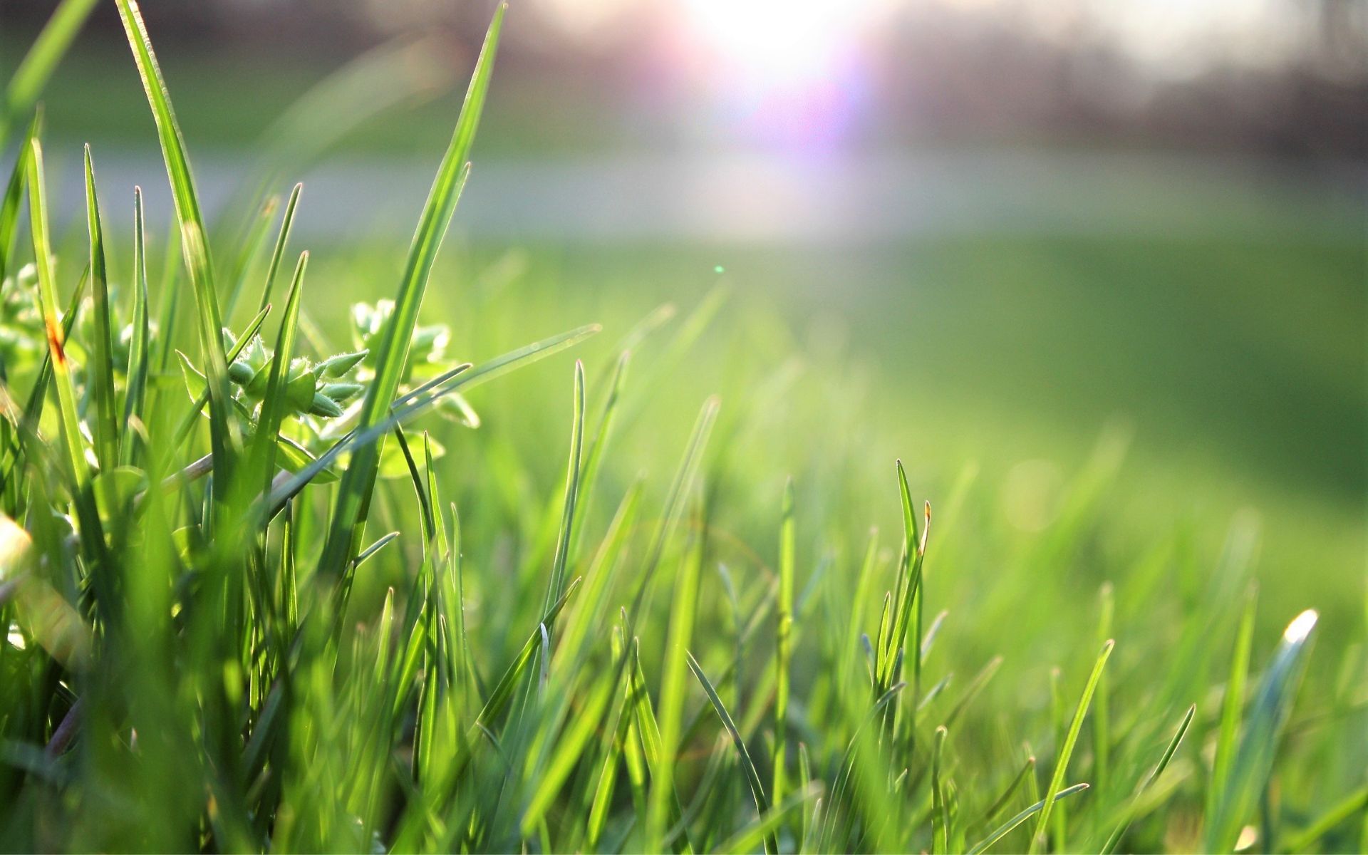 Activities & Fun at Searles | Norfolk Coast Holiday Park